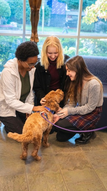 Bushnell University | Private Christian University in Eugene, Oregon