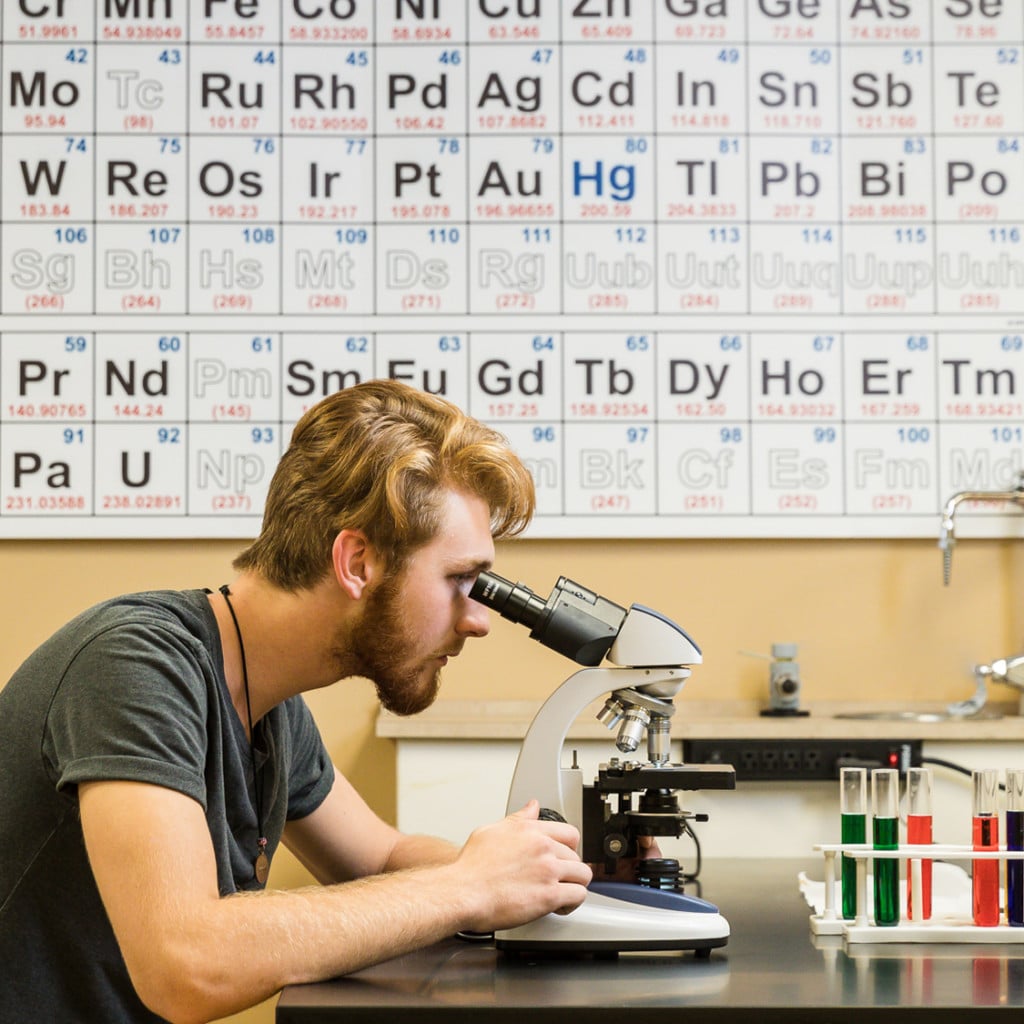Undergraduate Admissions - Bushnell University