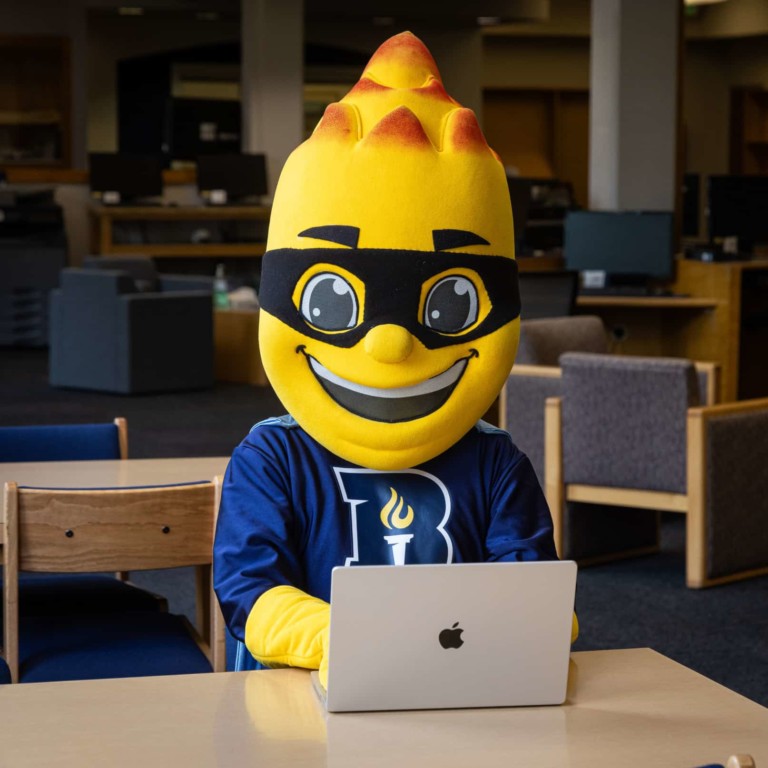 About Bushnell University